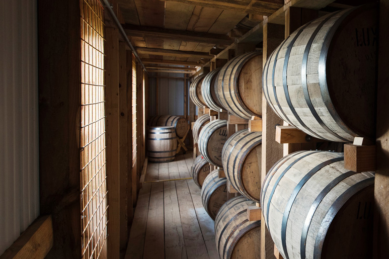 Spring in Kentucky: Best Things To See and Do