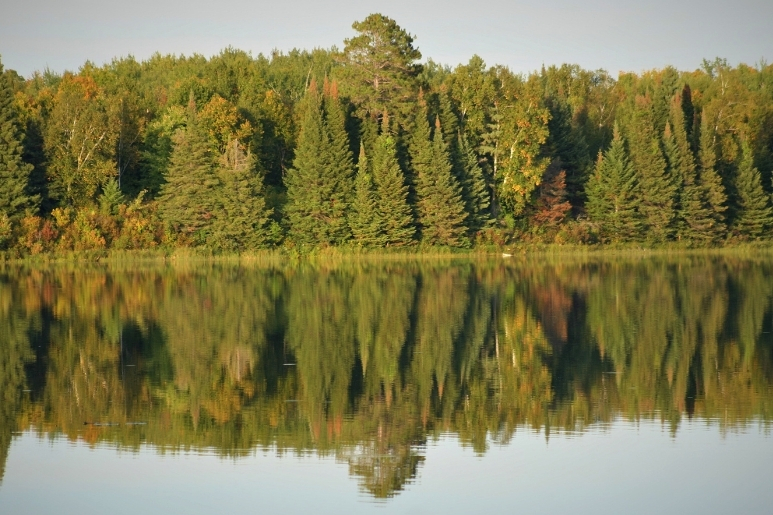 Summer in Minnesota: 9 Best Places to Visit