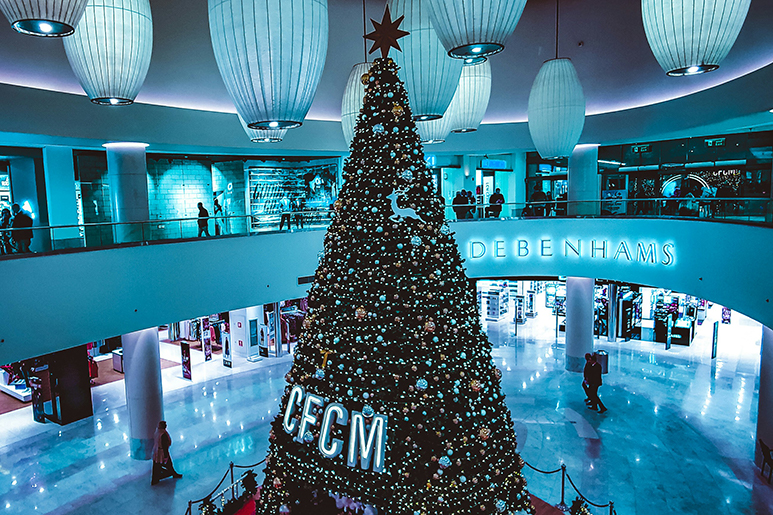 8 Things To Do in Cairo in Winter