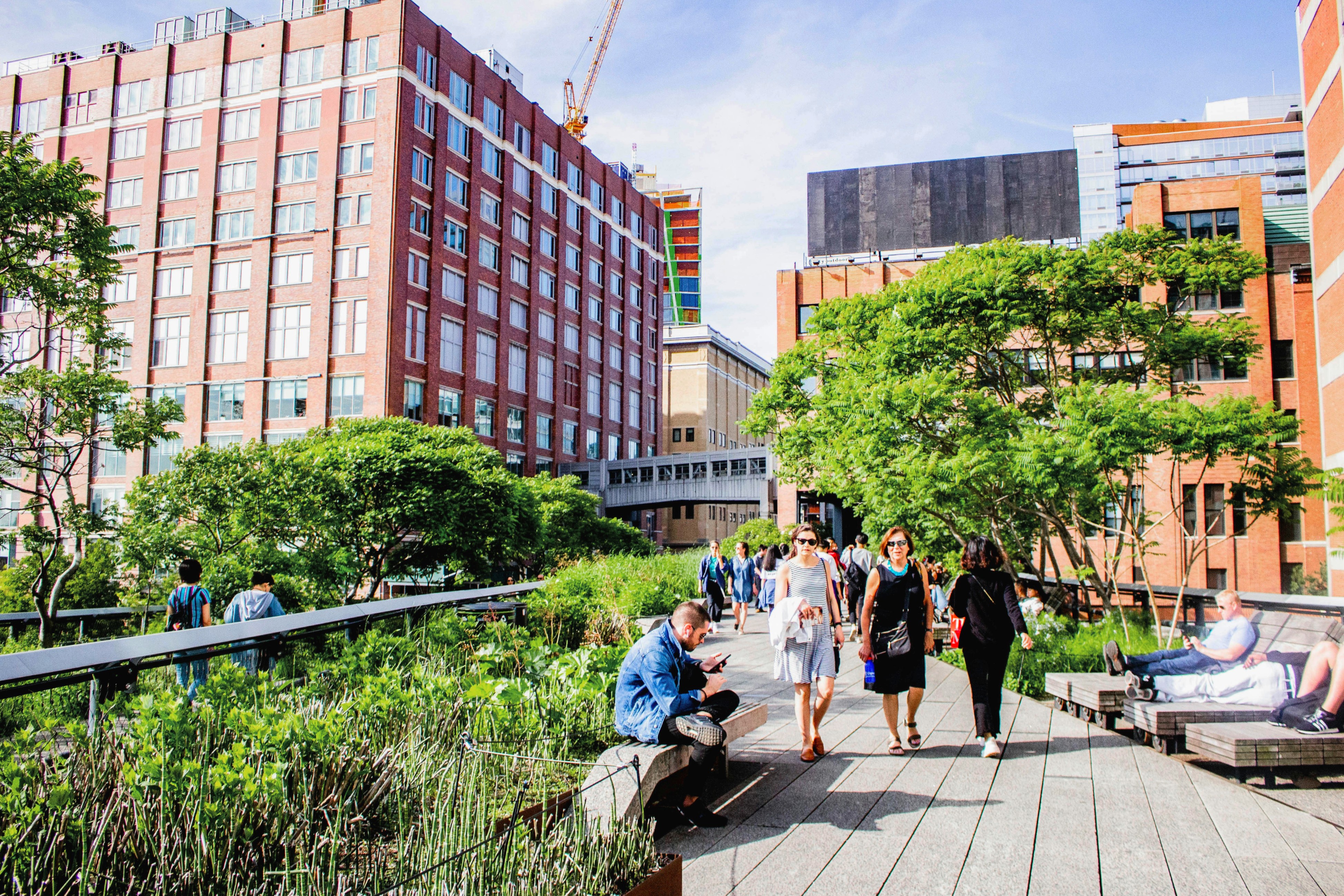 12 Unique and Fun Things To Do in New York City