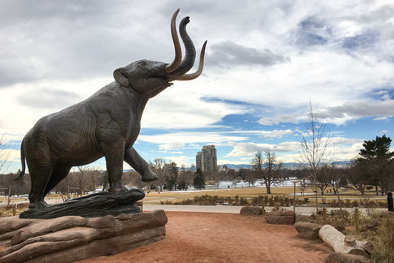 10 Best Museums in Denver to Visit