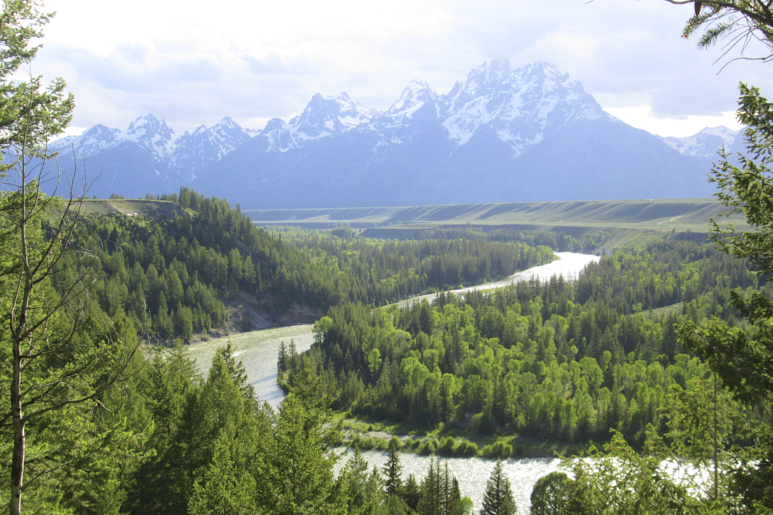 Summer in Wyoming: What to See and Do
