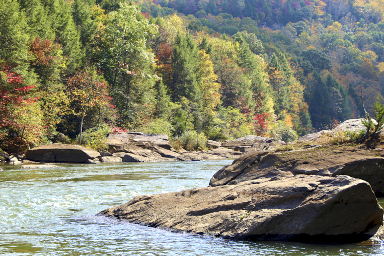 Here’s What To Do During Fall in West Virginia
