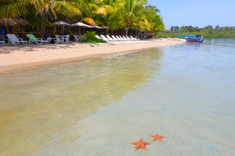 7 of the Best Beaches in Panama for Every Traveler