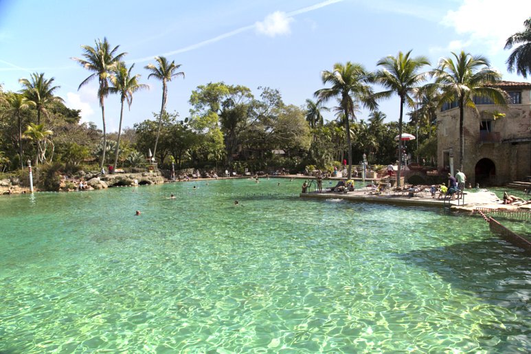 The Best Time To Visit Miami: A Month-By-Month Guide