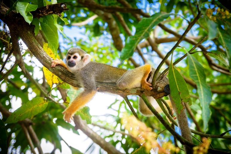 10 Fun Things to Do in Punta Cana