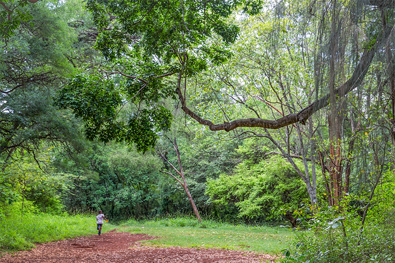 Best Time To Visit Nairobi: A Month-by-Month Guide