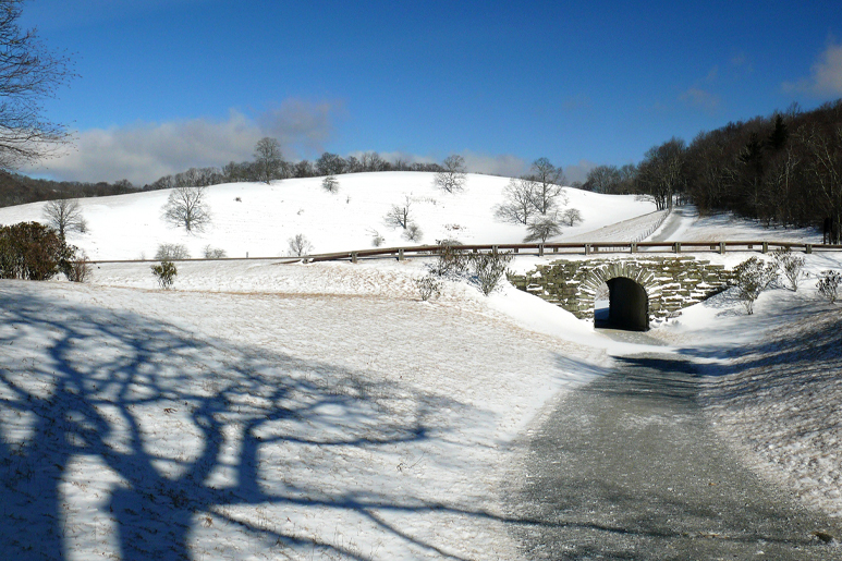 Winter in North Carolina: 8 Great Things To See and Do