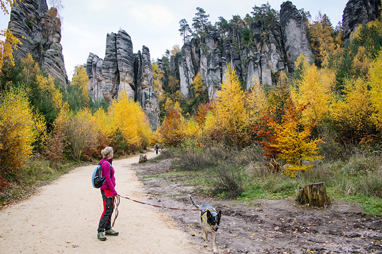 Hiking In Prague: 5 Spectacular Trails