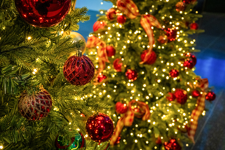 Winter in Rhode Island: The 8 Best Things To See and Do