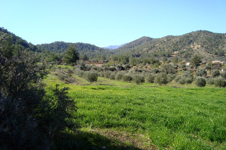 The Best Time To Visit Cyprus: A Month-By-Month Guide