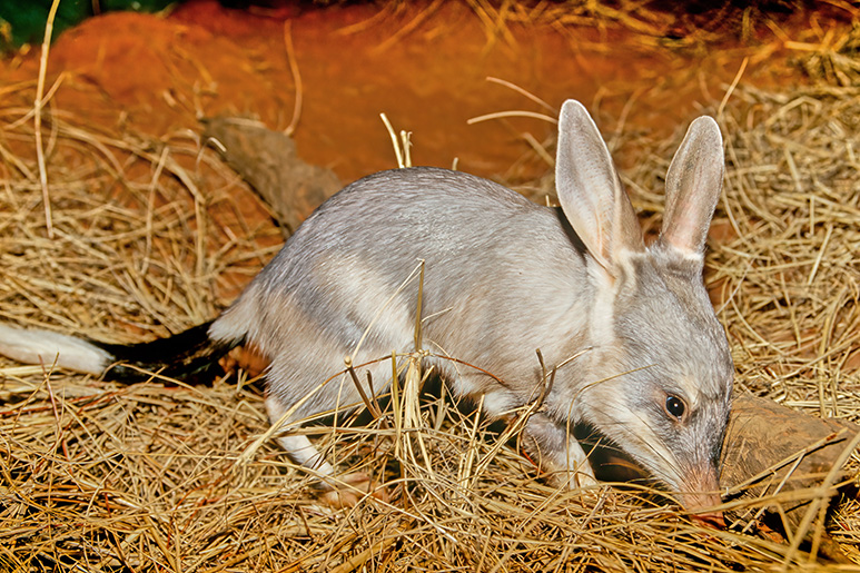 13 best places to visit in Outback Queensland