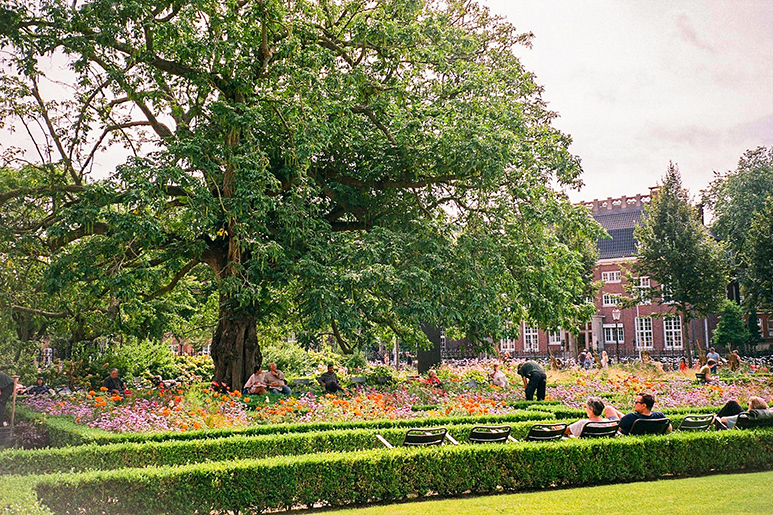 10 Best Gardens in Amsterdam for Nature & Tranquility