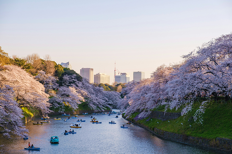 10 Things To Do in Tokyo in April