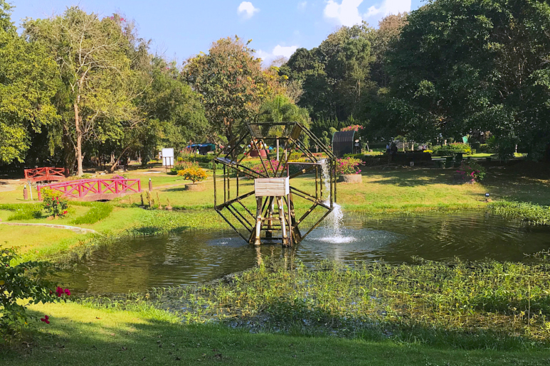 Top 11 Most Romantic Things To Do in Chiang Mai