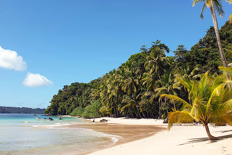 7 of the Best Beaches in Panama for Every Traveler