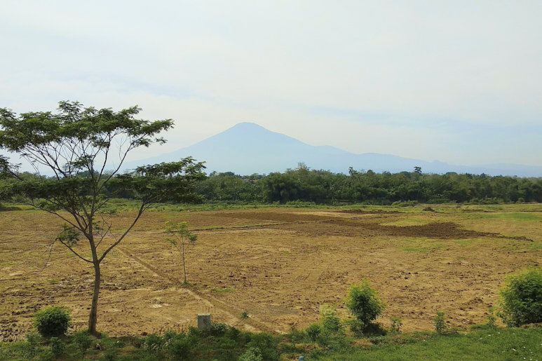 10 Incredible National Parks in Indonesia to Visit
