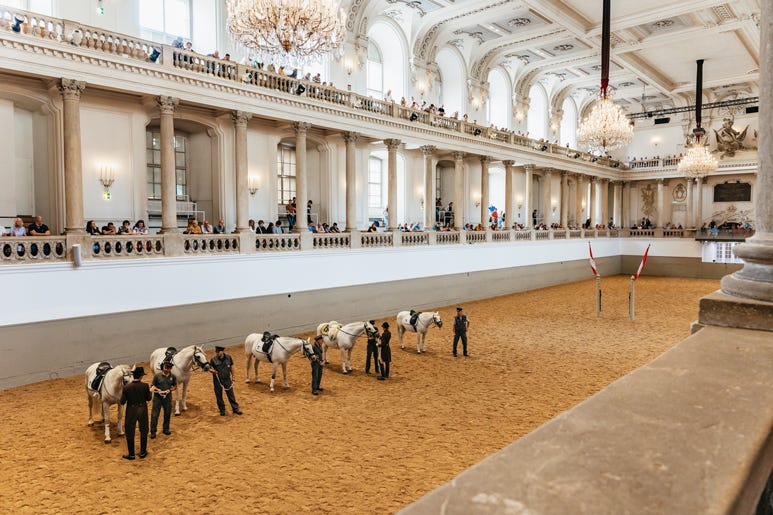 14 best places to visit in Vienna