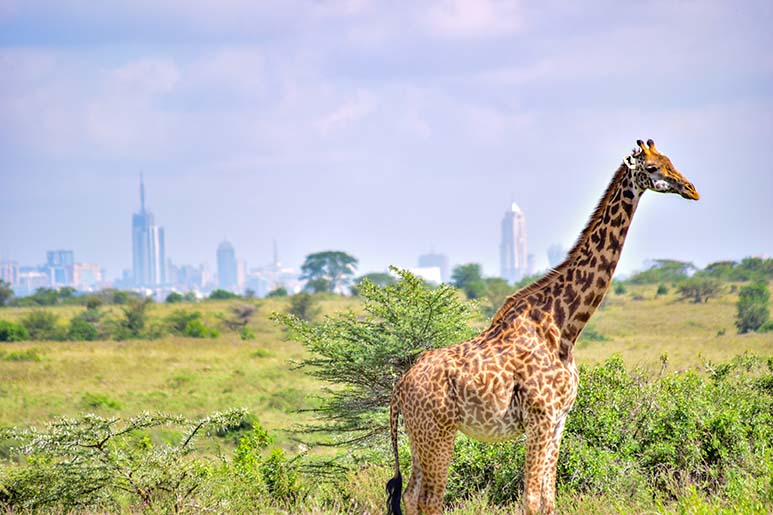 10 Best Places to Visit in Nairobi for Every Traveler