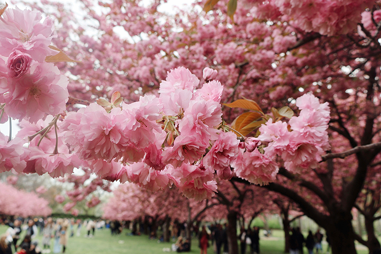 New York in April: What To See and Do