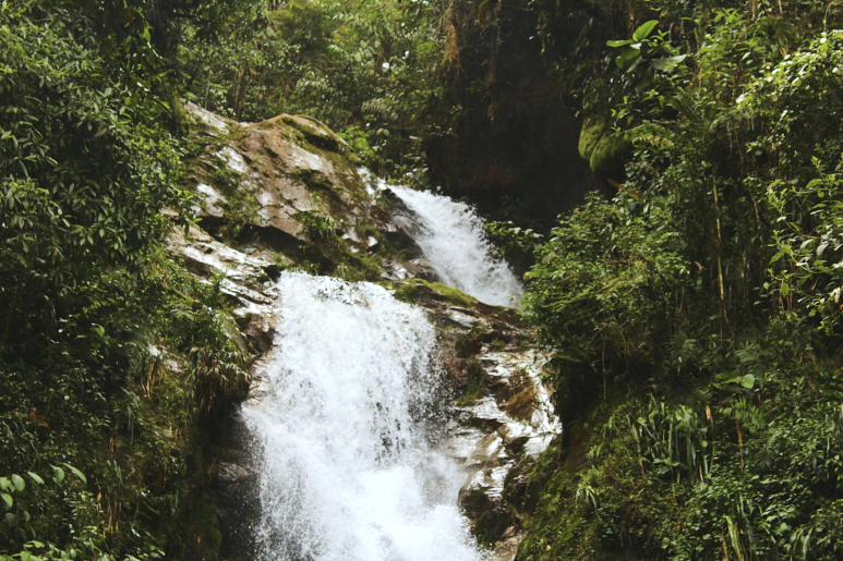 The 10 Biggest Rainforests in the World