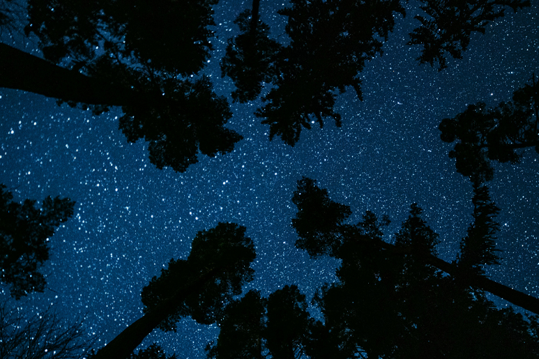 Best Time of Year to Visit Sequoia and Kings Canyon National Park