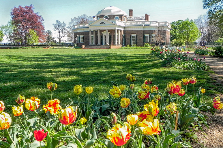 Spring in Virginia: 8 Top Things To Do and See