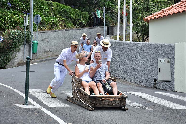 Top 12 Things To Do in Madeira With Kids and Teens