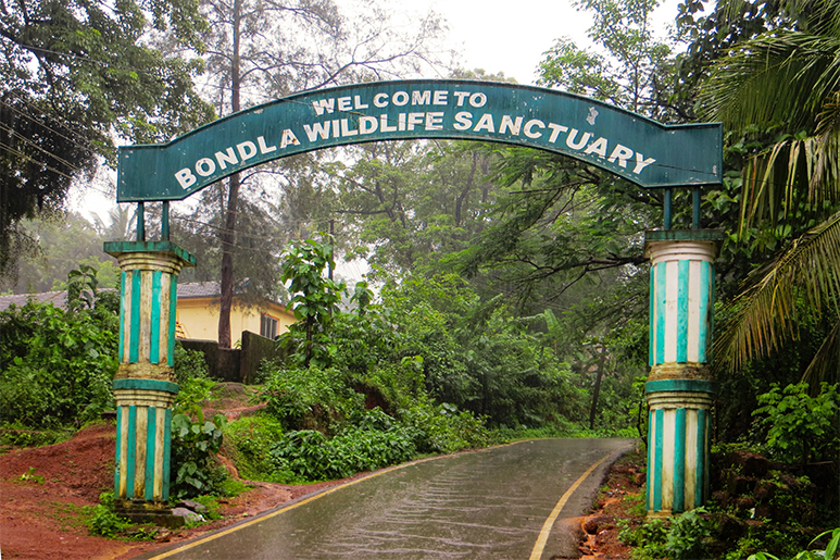 9 Fun Things To Do in Goa For Every Traveler