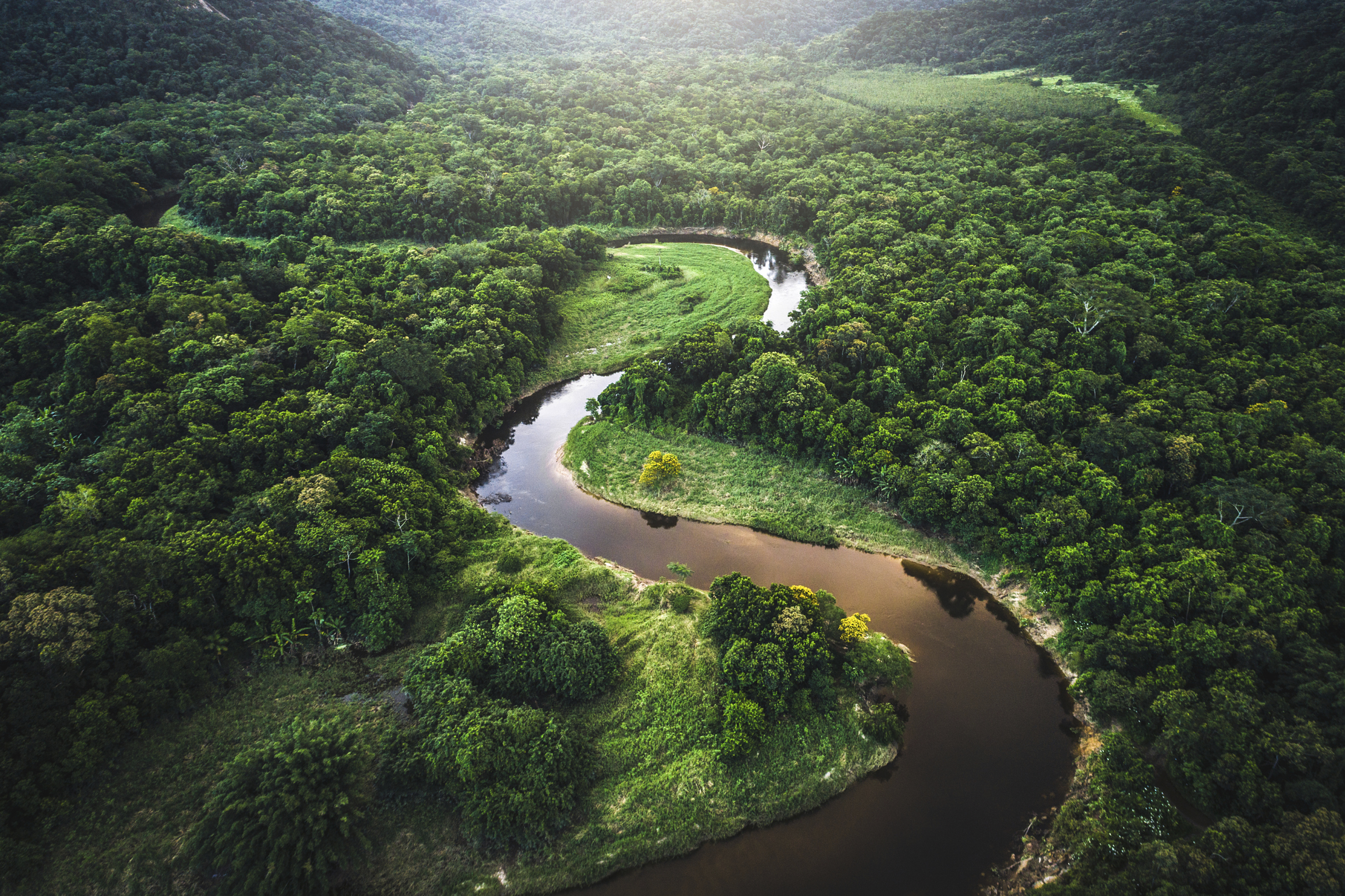 The 10 Biggest Rainforests in the World