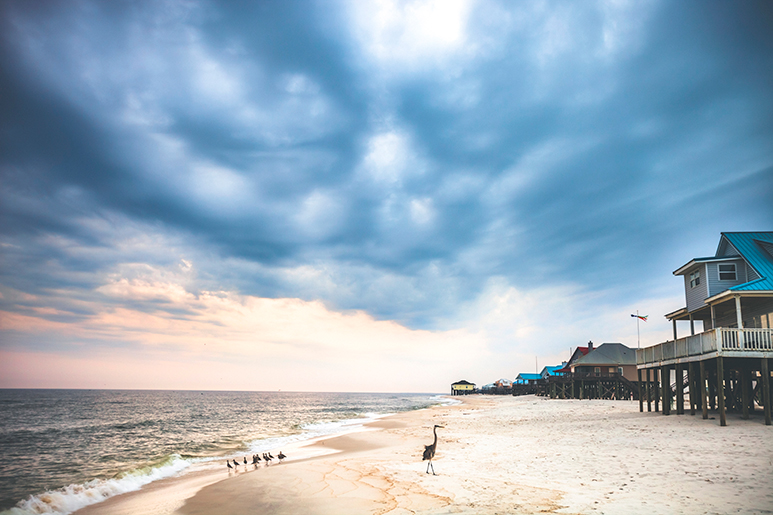 Winter in Alabama: The 8 Best Places To Visit