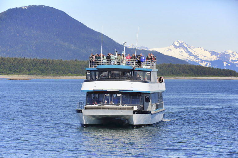 Whale Watching in Alaska: Everything You Need To Know