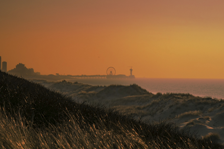 8 Unique and Fun Things To Do in The Hague