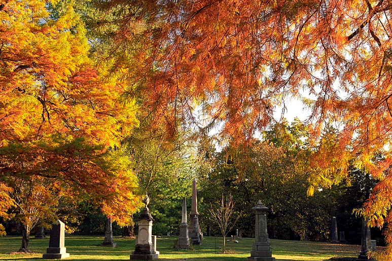 The Best Things To Do in Fall in Ohio