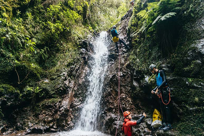The Best Time To Visit Madeira: A Month-By-Month Guide