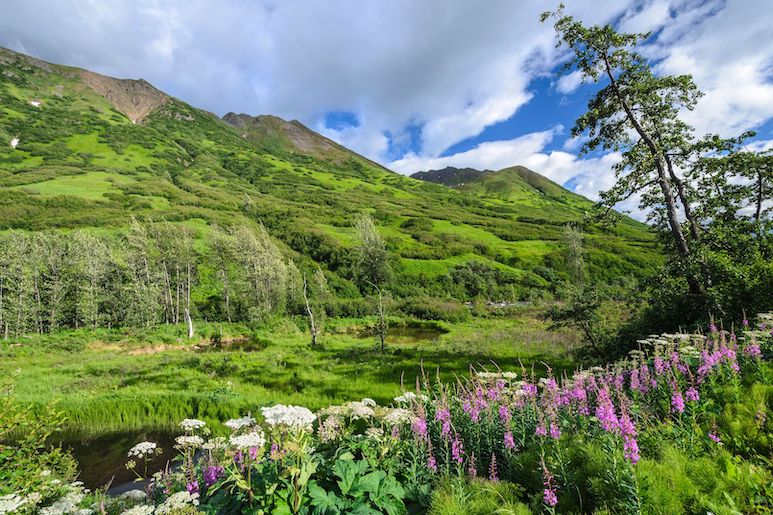 Summer in Alaska: 8 Best Places To Visit