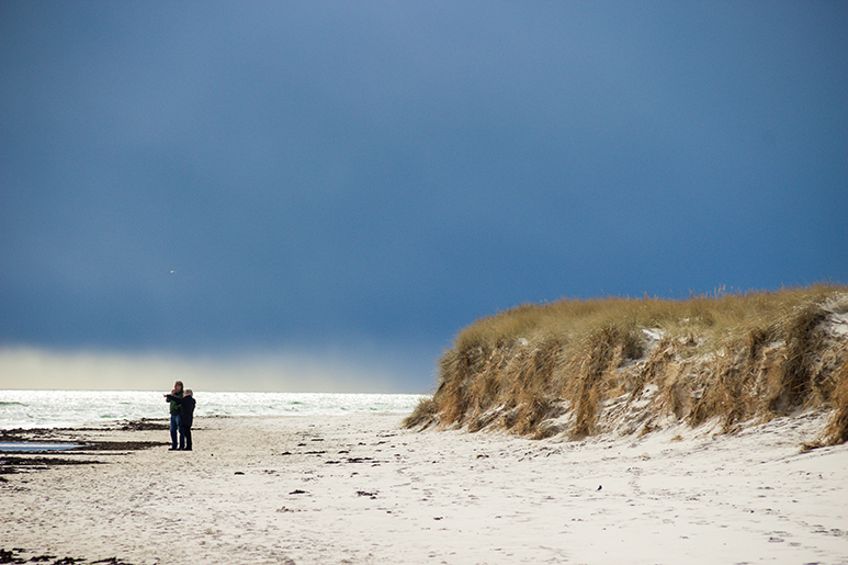 7 Best Beaches in Sweden: A Complete Guide