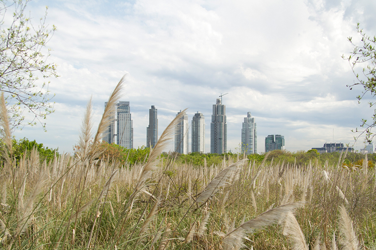 9 Best Outdoor Activities in Buenos Aires
