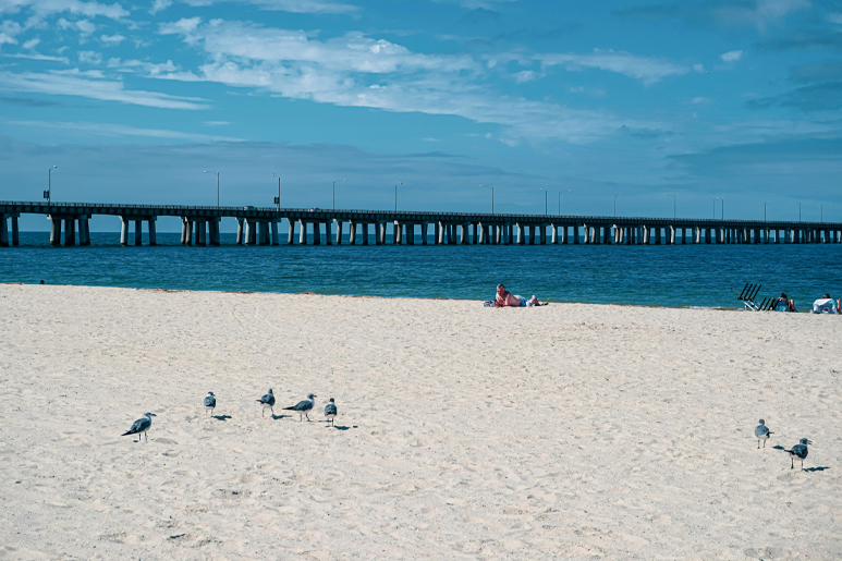 Summer in Virginia: What To See and Do