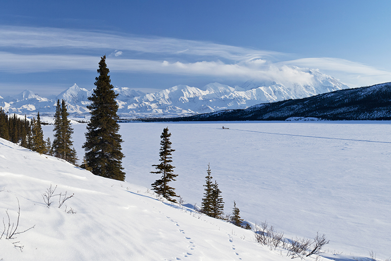 Best Time To Visit Denali National Park: A Seasonal Guide