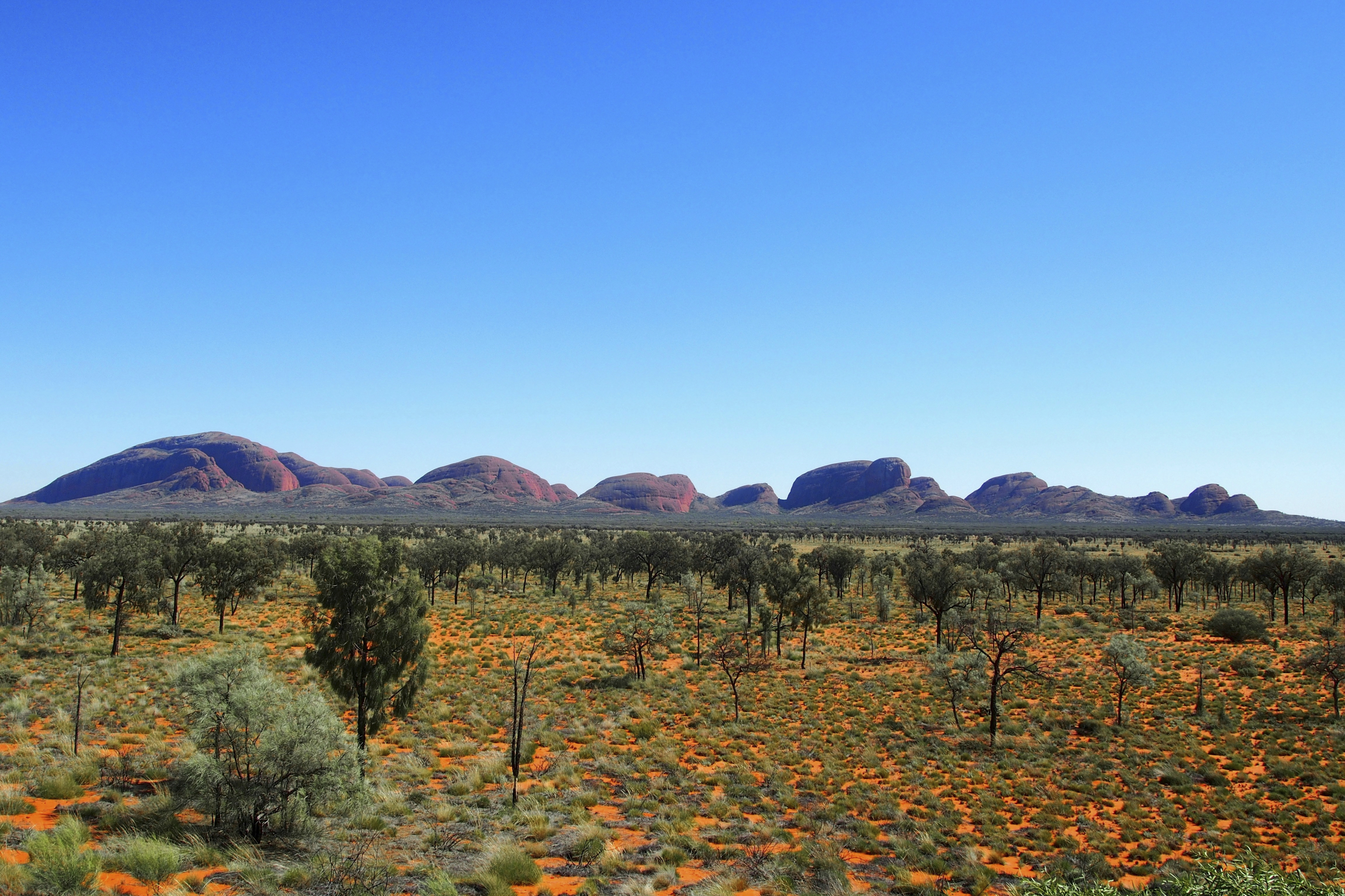 How To Visit Uluru: When To Visit and What To Know