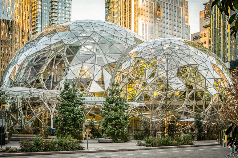 Discover Winter In Seattle: 8 Top Things To See And Do