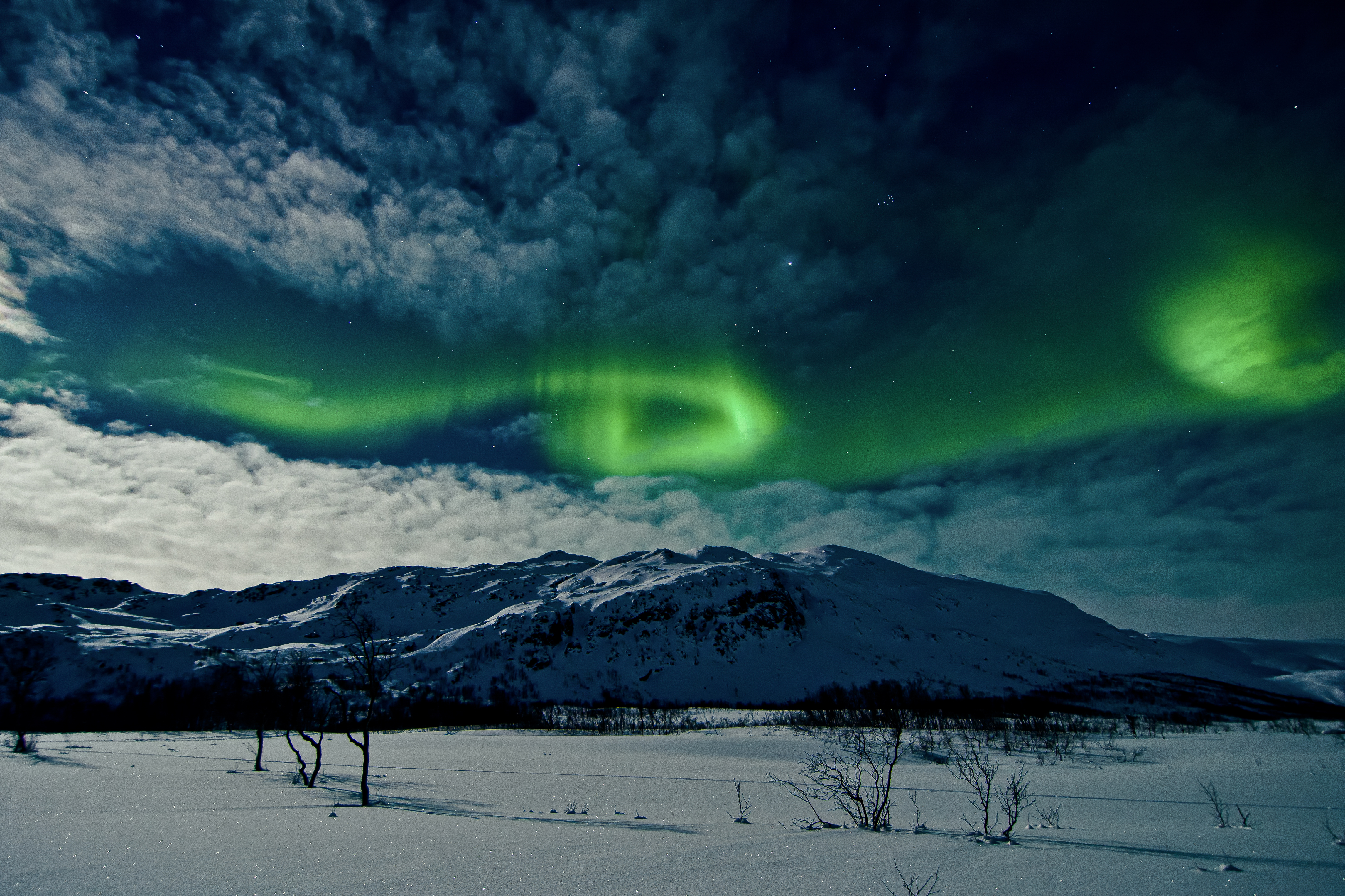How To See the Northern Lights: An Expert’s Tips