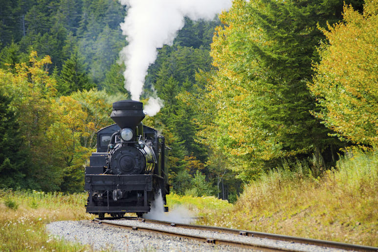 Spring in West Virginia: 8 Best Places to Visit