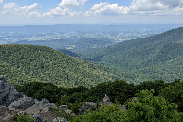 Descubra a melhor época para visitar o Parque Nacional de Shenandoah