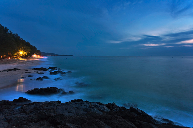 Puerto Rico’s Bioluminescent Bays: Your Questions Answered