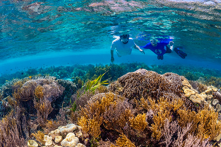 Top 10 Most Romantic Things to do in Sharm el-Sheikh