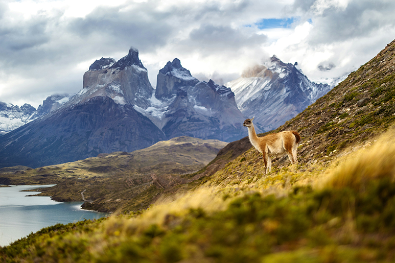 The Best Time To Visit Torres Del Paine National Park