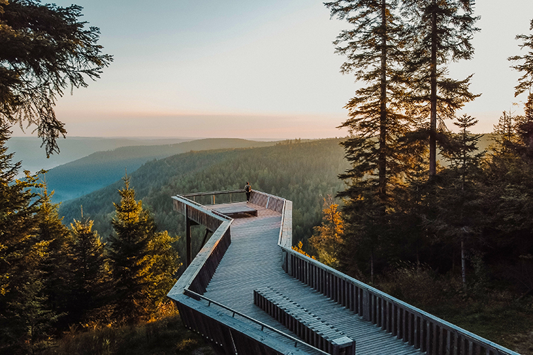 10 Incredible Hiking Destinations: Tips From Adventure Lovers