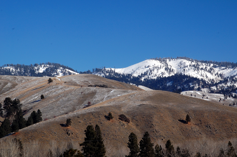 Spring in Montana: What To See and Do
